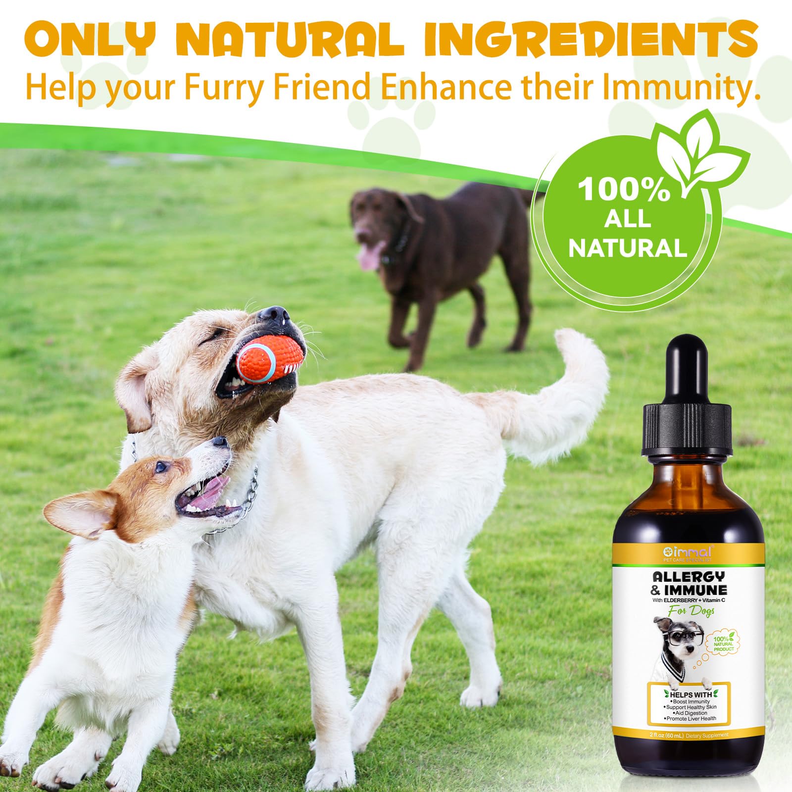 Allergy Relief Drops for Dogs, Allergy Immune Booster Treatment for Seasonal Allergies & Digestive, Healthy Immune System, Dog Supplement with Milk Thistle and Turmeric, Bacon Flavor - 60ml / 2 fl.oz