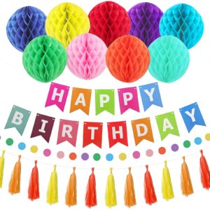 rubfac rainbow birthday decorations set, colourful happy birthday banner, tissue paper pompoms, circle dots garland and paper tassels garland for birthday party decorations