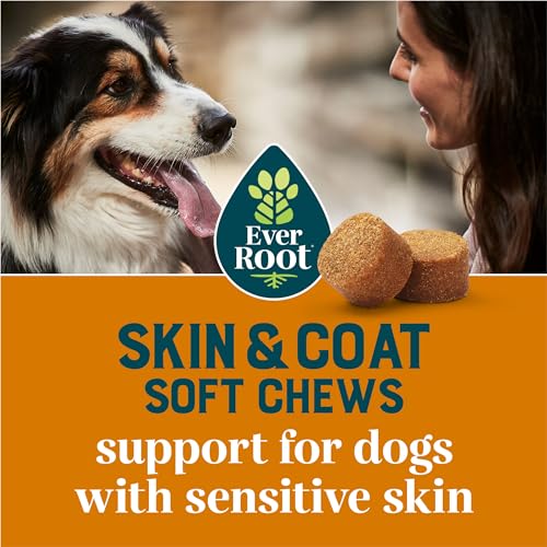 EverRoot by Purina Skin and Coat Dog Supplements Soft Chews - 10.6 oz. Canister