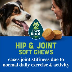 EverRoot by Purina Hip and Joint Dog Supplements Soft Chews - 10.6 oz. Canister