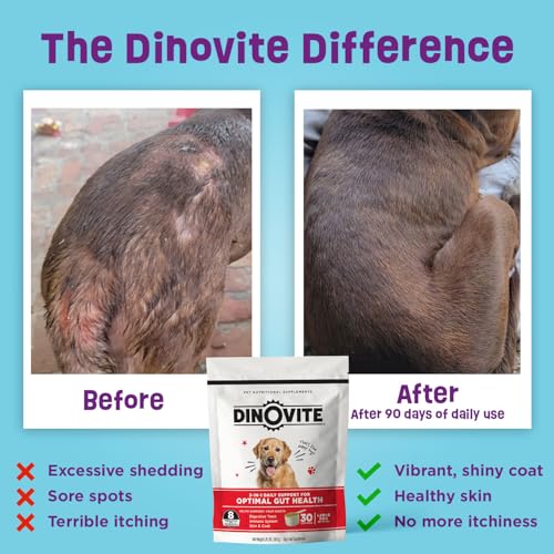 Dinovite Probiotic Supplement for Dogs - Omega 3 for Dogs - Hot Spot Relief - Skin & Coat Supplement for Dogs - 30 Day Supply (30 Day Supply, Large Dogs (45+ lbs))