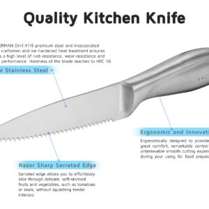 WELLSTAR Utility Knife, 4 Inch Serrated Paring Knife with Super Sharp High Carbon Stainless Steel Blade for Fruit Vegetable Cutting Peeling Slicing – Silver