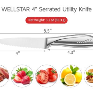 WELLSTAR Utility Knife, 4 Inch Serrated Paring Knife with Super Sharp High Carbon Stainless Steel Blade for Fruit Vegetable Cutting Peeling Slicing – Silver