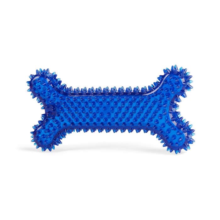 Leaps & Bounds Spiny Bone Assorted Medium Chew Toy for Dogs