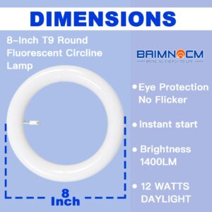 Celiwace T9 LED Circline Light Bulb, FC8T9/DL Led Replacement for GE Philips Sylvania 8 Inch Circular Fluorescent T9 22W, Day Light 1500LM 2 Count