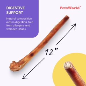 PETSWORLD 12" Thick Bully Sticks (6 Count) - All-Natural, Odor-Free Dog Chews for Large Dogs | Long-Lasting, 100% Digestible Beef Pizzle Treats