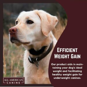 All American Canine Dog Weight Gainer - Dog Protein Powder - High Calorie Dog Food Supplement, Premium Quality Weight Gainer, Mass, Recovery, Appetite Stimulant - 60 Servings