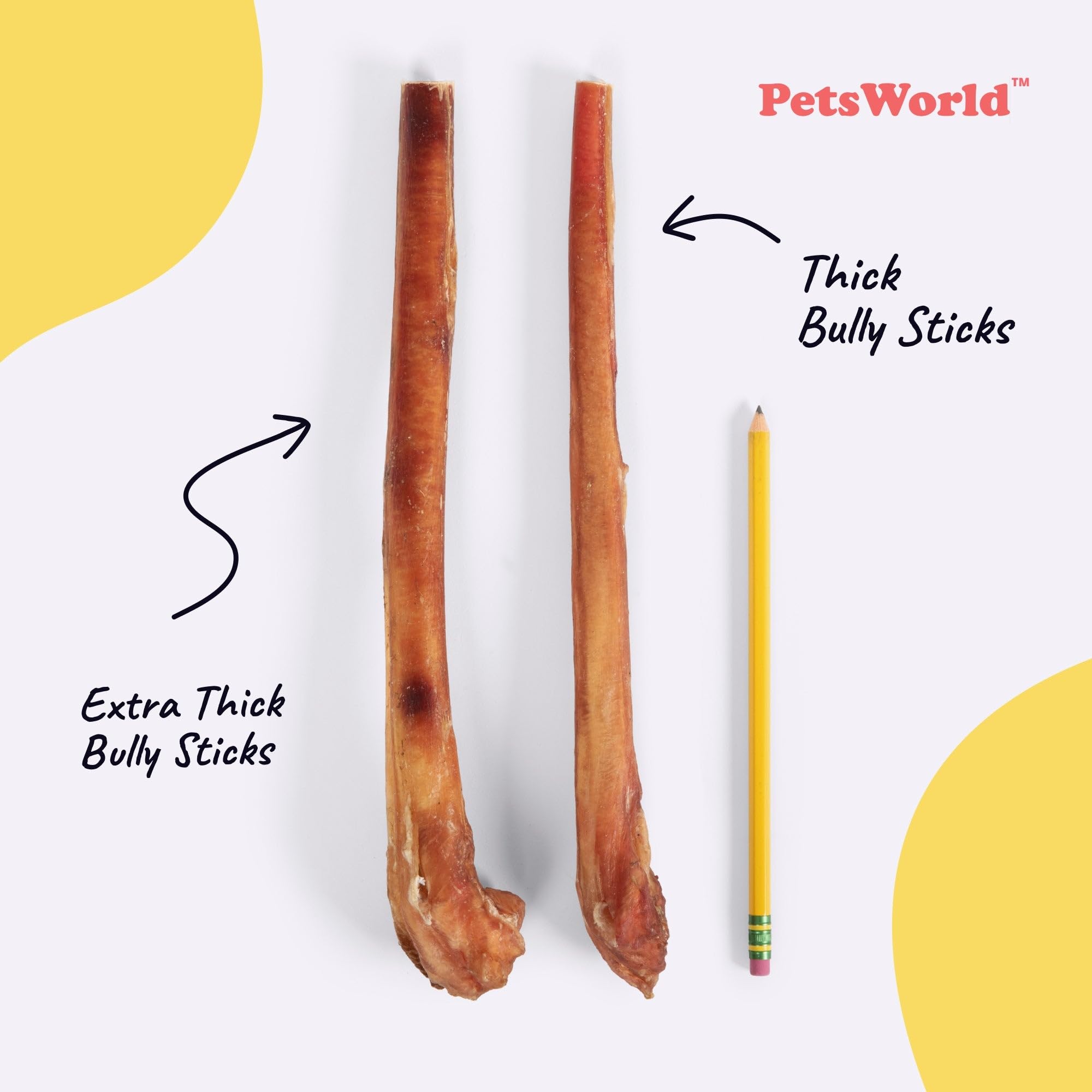 PETSWORLD 12" Thick Bully Sticks (6 Count) - All-Natural, Odor-Free Dog Chews for Large Dogs | Long-Lasting, 100% Digestible Beef Pizzle Treats