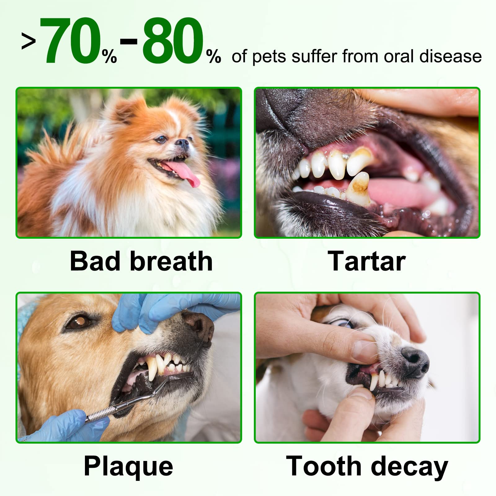 Dog Teeth Cleaning 50PCS, Pets Teeth Cleaning Wipes for Dogs & Cats, Dog Toothbrush Kit, Dog Dental Care Finger Wipes, Remove Bad Breath, Plaque & Tartar, Cleaning & Gum Care Pet Wipes