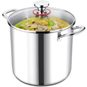 lianyu 12 quart stock pot with lid, 18/10 12 qt stainless steel soup pot, tri-ply heavy duty large canning pasta pot, big deep pot for cooking, nonstick induction stockpot with measuring mark