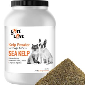 organic sea kelp powder for dogs (7 pounds, 3.2 kg), iodine for dog, thyroid support for dog & cat, norwegian kelp dog powder supplement by lots of love