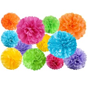 12 pcs paper pom poms kit, tissue paper flowers for birthday, party, fiesta, classroom, playroom festive decorations (multicolor, assorted sizes)