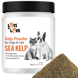 kelp powder for dog & cat - organic sea kelp supplement granules powder (16 oz, 1 pound)