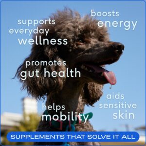 Native Pet The Daily Dog Supplement - 11 in 1 Dog Multivitamin - Tasty Scoop with Dog Supplements & Vitamins - Multi Vitamin for Dog Energy, Mobility, Skin & Coat - 12 Active Ingredients 14 oz