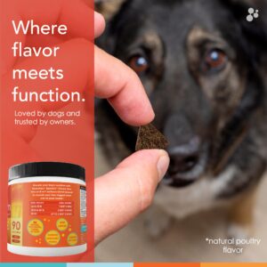 Chew Vitamins for Dogs (90 ct), Glucosamine for Joint Support with Antioxidants, Omega-3 & Vitamins for Skin, Liver and Heart Health - Spectrin