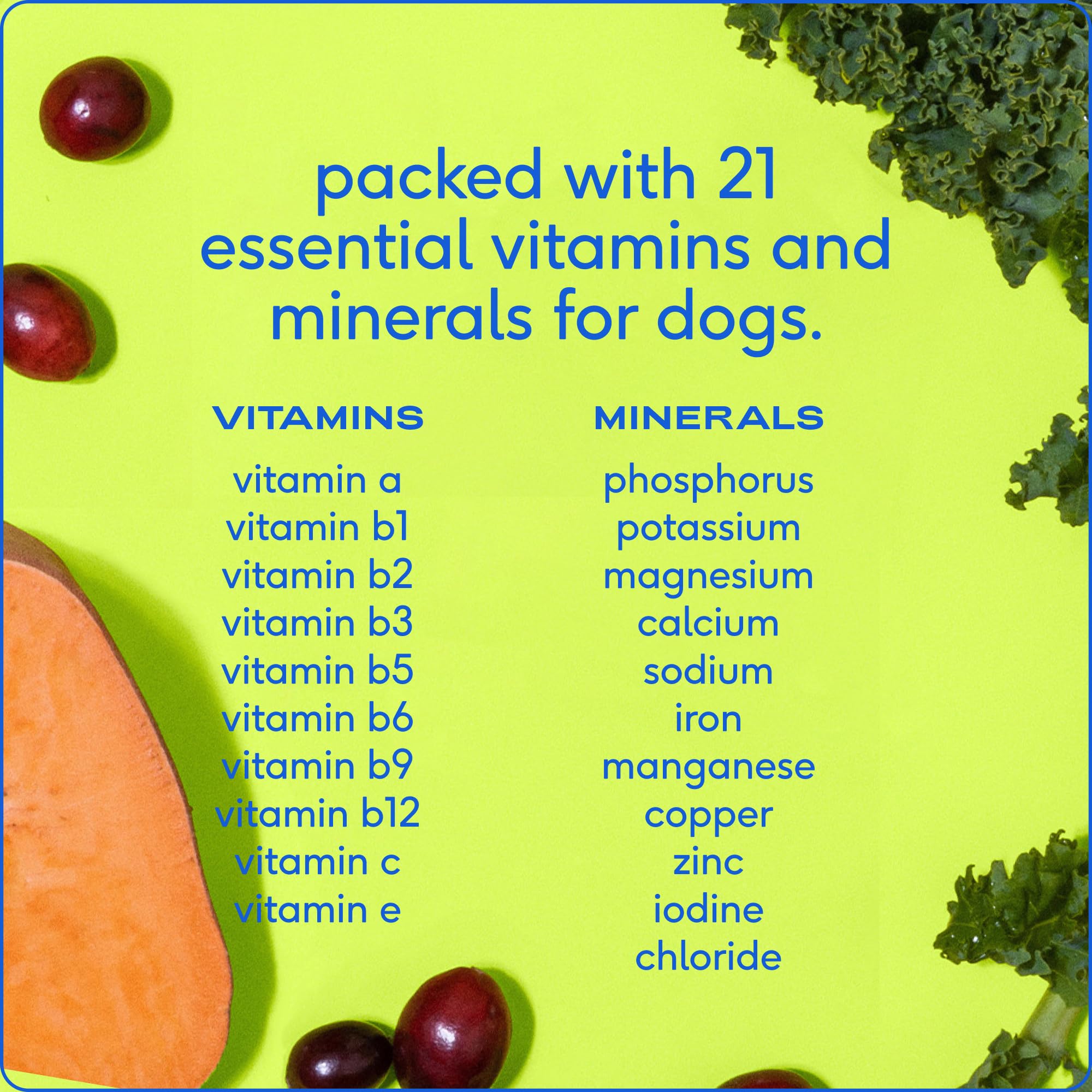 Native Pet The Daily Dog Supplement 7 oz - Multi Vitamin for Dogs Health - Tasty Scoop with Dog Supplements & Vitamins - Dog Multivitamin Powder - Daily Supplement for Dogs - 12 Active Ingredients