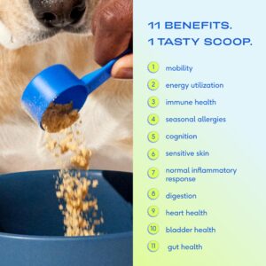 Native Pet The Daily Dog Supplement - 11 in 1 Dog Multivitamin - Tasty Scoop with Dog Supplements & Vitamins - Multi Vitamin for Dog Energy, Mobility, Skin & Coat - 12 Active Ingredients 14 oz