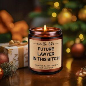 GSPY Lawyer Candle - Future Lawyer Gifts, Funny Lawyer Gifts for Women, Men - Law School Gifts, Law Student Gifts - Law School Essentials, Christmas, Graduation Gifts for Law Students, Lawyers