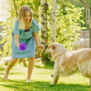 Pweituoet 3.5” Spike Dog Balls with Squeaky, Thicker and Durable, 2 Pack Dog Chew Toys Clean Teeth Training for Puppy Small Medium Large Dogs, Dog Ball Toys for Aggressive Chewers