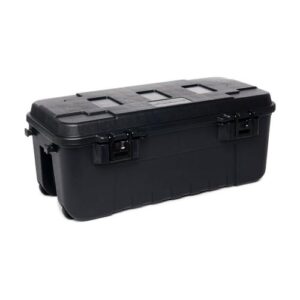 plano storage trunks