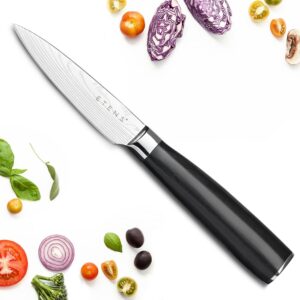 Etens 3.5 Inch Bar Paring Knife with Large Black Handle, Small Kitchen Knife for Fruit Vegetables, Professional Sharp Pairing Knives/High Carbon Stainless Steel