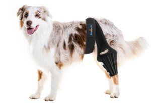 dog acl brace for luxating patella back leg, adjustable dog rear leg brace support for joint pain muscle sore knee cap dislocation,stifle brace with side stabilizers