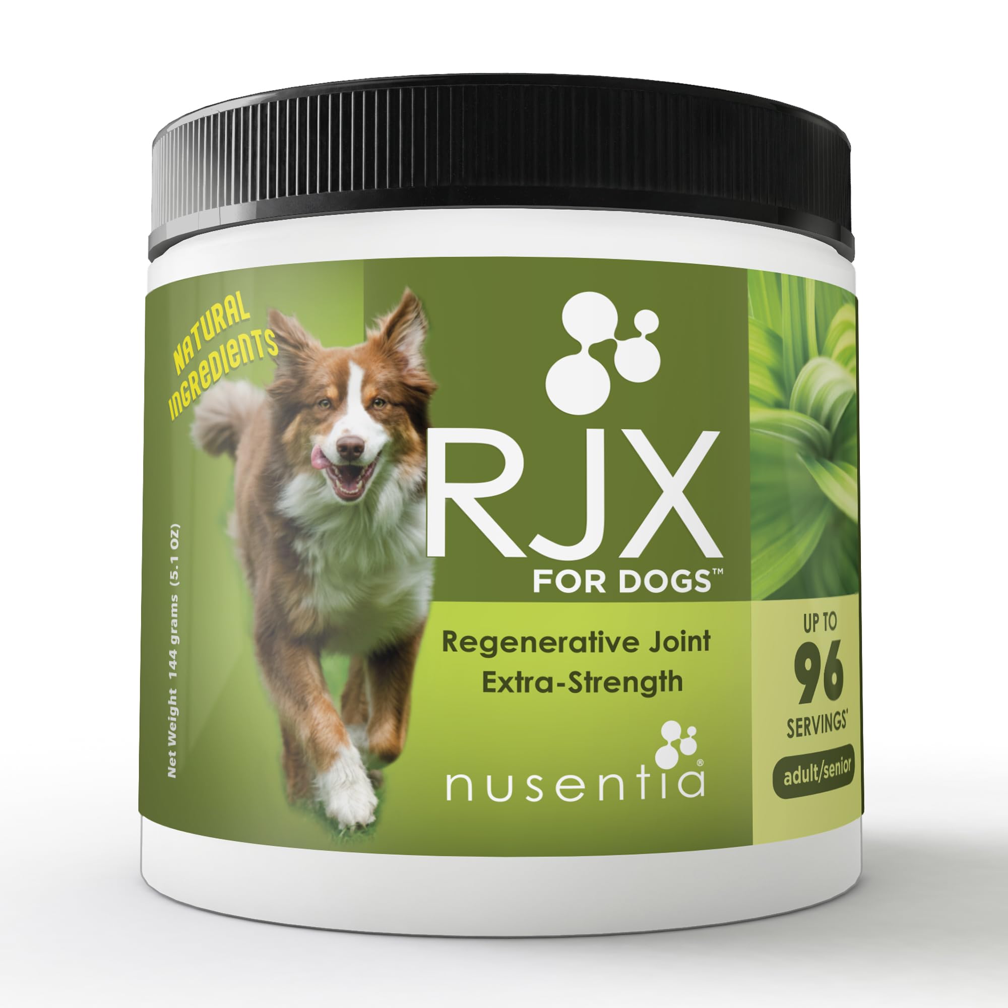 NUSENTIA Joint Health Supplement for Dogs, RJX Powder (144 G) - Extra Strength Glucosamine, Chondroitin, MSM