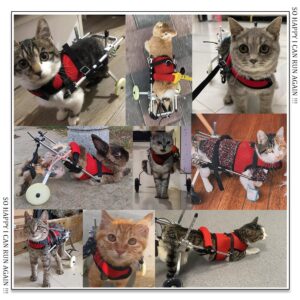 Cat Wheelchair, Newly Upgraded Pet Wheelchair, Removable Harness Design, Lightweight Cat Wheelchair for Back Legs of Doggie, Cats, Rabbits(S)