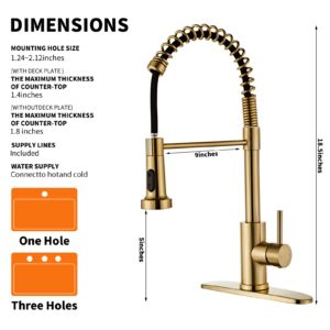 Brushed Gold Kitchen Faucet with Pull Down Sprayer, RV Brass Kitchen Faucet Stainless Steel Single Handle Spring Faucet with Deck Plate for Farmhouse Utility bar Laundry Sinks,Grifos De Cocina