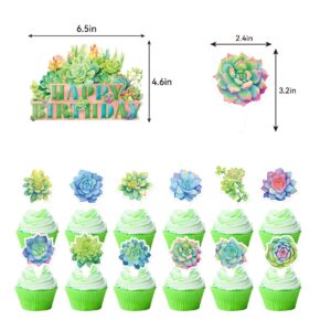 Succulent Plants Birthday Party Decorations Succulent Plants Party Supplies Includes Birthday Banner Cake Cupcake Toppers Hanging Swirls Balloons for Succulent Plant Birthday Baby Bridal Shower Decor