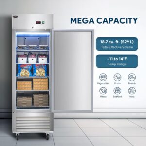 FRICOOL Commercial Refrigerator with Single Solid Door, 23 cu.ft Stainless Steel Reach-in Merchandiser Upright Freezerless Refrigerator for Restaurant, Bar, Shop, Residential Beverages and Drinks