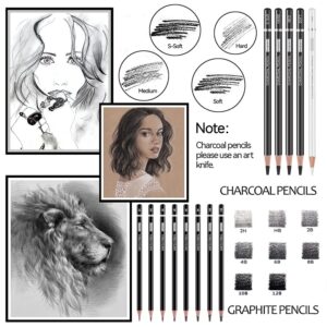 PANDAFLY Drawing Sketching Pencil Set, 22 Piece Pro Art Pencil Kit - Graphite Pencils (12B-2H), Black and White Charcoal Pencils, Charcoal Sticks, Stumps, Eraser, Sharpeners