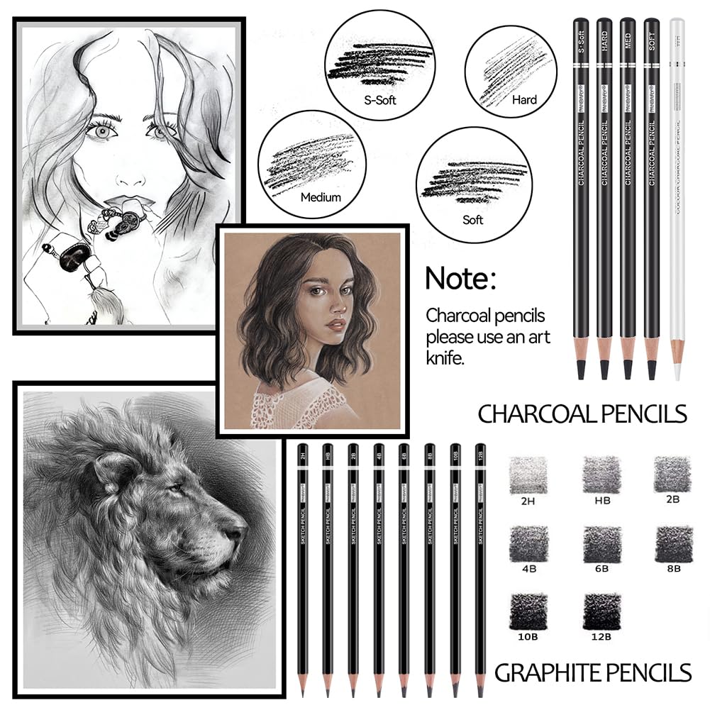 PANDAFLY Drawing Sketching Pencil Set, 22 Piece Pro Art Pencil Kit - Graphite Pencils (12B-2H), Black and White Charcoal Pencils, Charcoal Sticks, Stumps, Eraser, Sharpeners