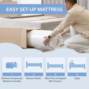 Nixy Full Mattress 5 Inch Foam Mattress in a Box, Bamboo Charcoal Foam Mixed High-Density Base Support Foam for a Peaceful Sleep, Pressure Relief, Medium Firm Full Size Mattress Bedroom Essentials