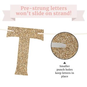 Pre-Strung Two Less Fish In The Sea Banner - NO DIY - Gold Glitter Bachelorette Bridal Party Banner - Pre-Strung on 8 ft Strand - Gold Engagement Bachelorette Party Decorations. Did we mention no DIY?