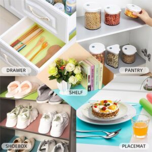 16 Pcs Refrigerator Liners, CR Washable Mats Covers Pads Home Kitchen Gadgets Accessories Organization Top Freezer Glass Shelf Wire Shelving Cupboard Cabinet Drawer (4 Blue 4 Green 4 Red 4 White)