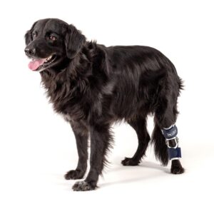 balto flexor adjustable hinged dog hock brace – ankle brace –variable range of motion or full immobilization – post surgical support or surgical alternative – back leg (medium/large)