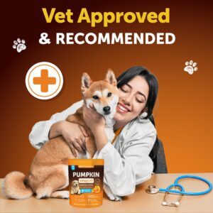 Pumpkin for Dogs - Pumpkin Powder for Dogs Digestive Support - Natural Fiber for Dogs - Healthy Stool - Mix with Water to Create Delicious Pumpkin Puree - Canned Pumpkin Alternative - 16 OZ