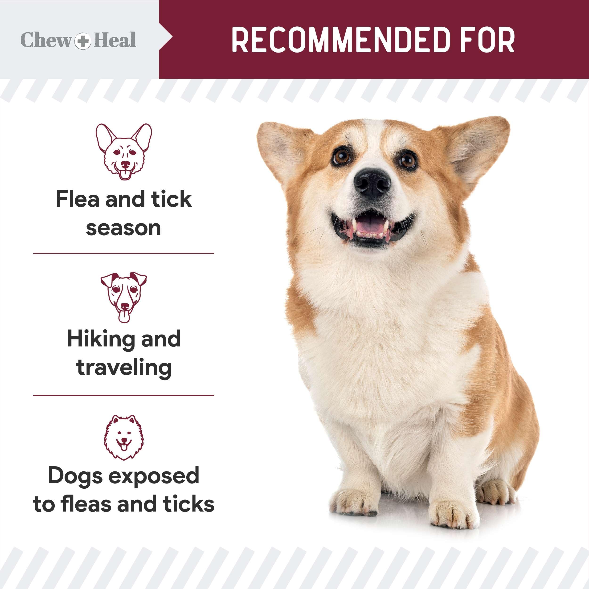 Chewable Flea and Tick Prevention for Dogs - 180 Delicious Soft Chews - Made in USA - Natural Defense for Small and Large Dogs - No Gluten, No GMO, No Corn