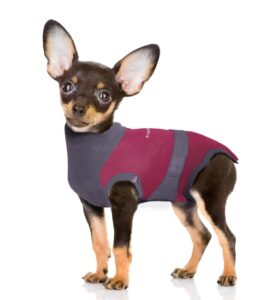 maxx dog recovery suit – breathable, cozy post-surgery suit for wounds – e-collar, cone alternative (ruby red grey, xs)