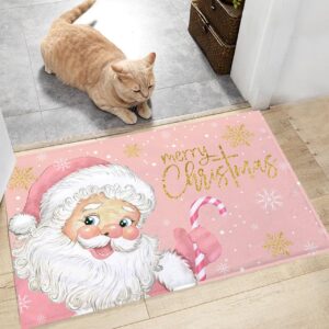 Christmas Pink Santa Claus Floor Door Mats Shag Carpet,Xmas Gold Foil Snowflake Non Slip Super Soft Bath Rugs,Winter Snow Shaggy Fuzzy Area Rug for Kitchen/Bathroom/Bedroom/Living Room Decor 16x24in