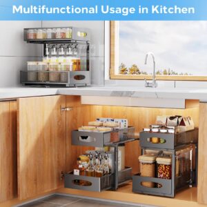 Under Sink Organizer, 2 Tier Pull out Cabinet Organizer Baskets with Mesh Sliding Drawers, Slide out Storage Shelf for Home, Kitchen, Bathroom, Pantry, Office Cabinet, Countertop(1 Pack)