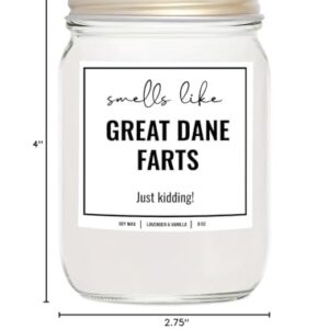 YouNique Designs Smells Like Great Dane Farts Candle 8 oz - Great Dane Gifts for Great Dane Lovers - Great Dane Gifts for Owners Dog Farts Candle - Funny Great Dane Mom Gifts (Lavender & Vanilla)