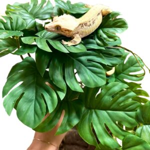 Woyrise Reptile Artificial Plants for Terrarium, Amphibian Habitat Decor Plant, Bearded Dragon Tank Decorations fit Gecko Lizard Chameleon Ball Python Snake Frog - Monstera Bush