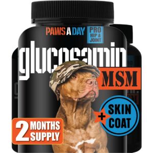 paws a day glucosamine for dogs hip & joint supplement – “two-in-one combo” dog joint care and improved skin & coat with chondroitin, msm, omega 3, collagen & biotin, 60 chewable tablets