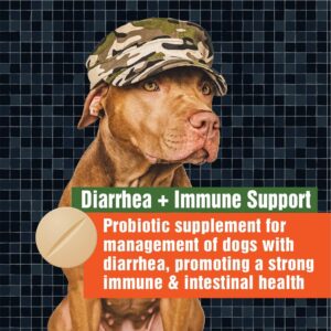 Canine Probiotics for Dogs Diarrhea Relief Flora & Immune Support – “Army Soldier Owned” Veterinary Dog Probiotics for Digestive Health, Firmer Stools & Sensitive Stomach, 60 Yummy Tablets (Pack of 1)