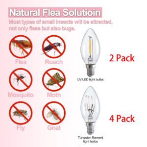 Flea Traps for Inside Your Home 2 Packs, Flea Trap with Light for Indoor Bed Bug, Flea Killer Pest Control Sticky Natural Trapper, Non Toxic & Harmless, Friendly to Pets & Kids