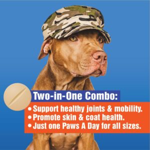 Paws A Day Glucosamine for Dogs Hip & Joint Supplement – “Two-in-One Combo” Dog Joint Care and Improved Skin & Coat with Chondroitin, MSM, Omega 3, Collagen & Biotin, 60 Chewable Tablets