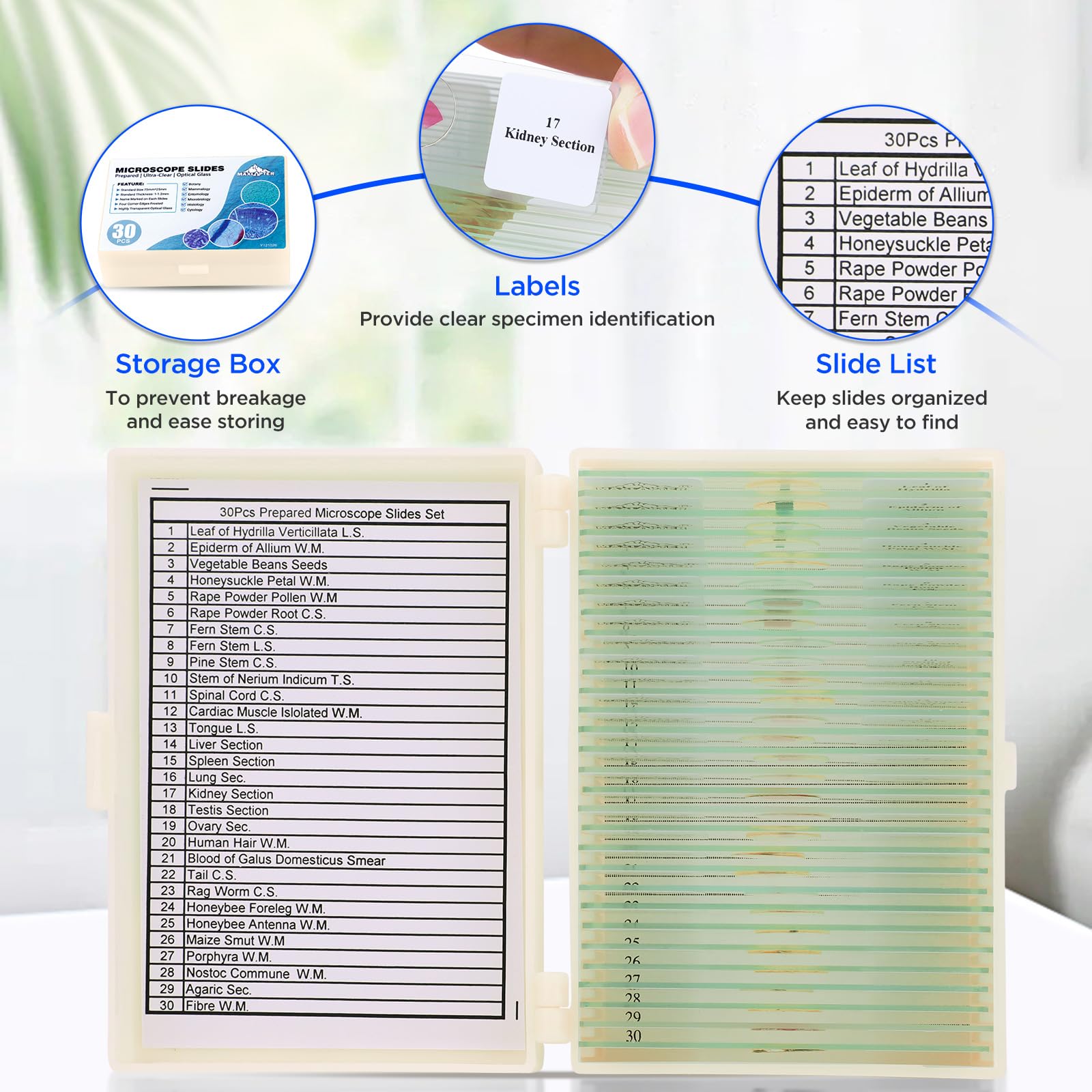 30 Microscope Slides with Specimens for Kids, Prepared Microscope Slides Set with Plants Animals Insects, Microscope Slides for Kids Students Homeschool Basic Biological Science Education