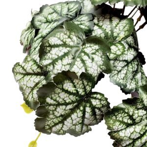 Woyrise Reptile Plants, Terrarium Hanging Plants Vines for Reptile Tank, Amphibian Habitat Leaves Decor with Suction Cups for Bearded Dragon Lizard Snake Gecko Frog Hermit Crab - 2Pack Green Heuchera